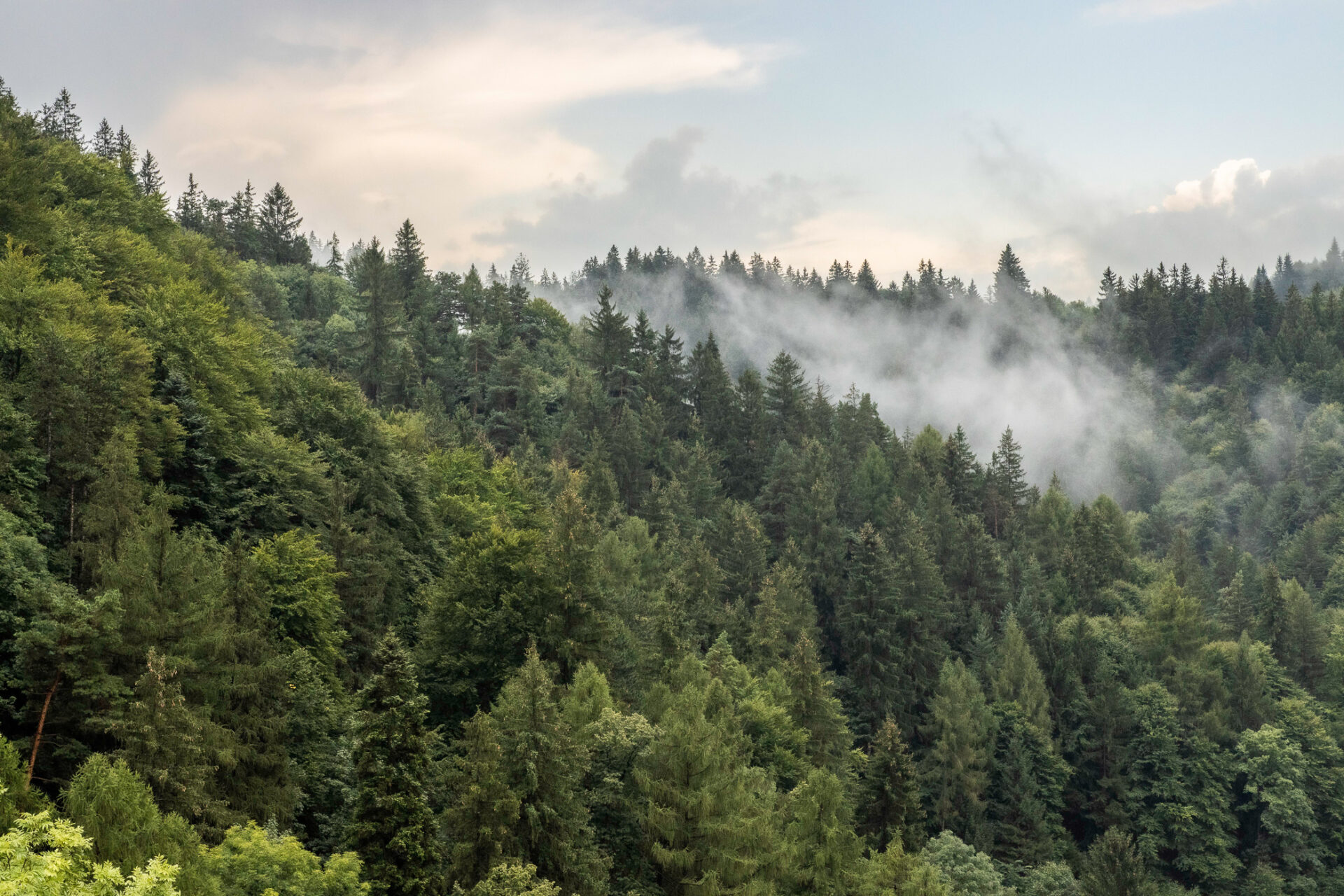 Bran Castle and Brașov history - The Restless Road